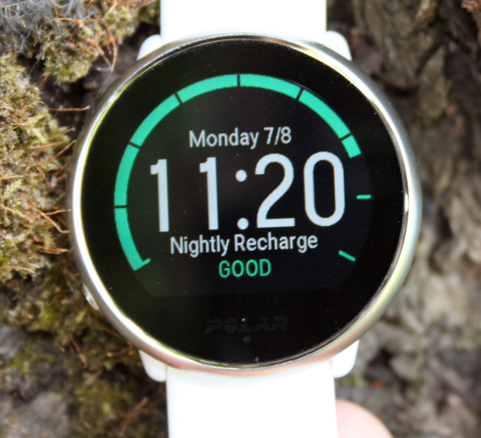 Polar for CES, 2020 and beyond