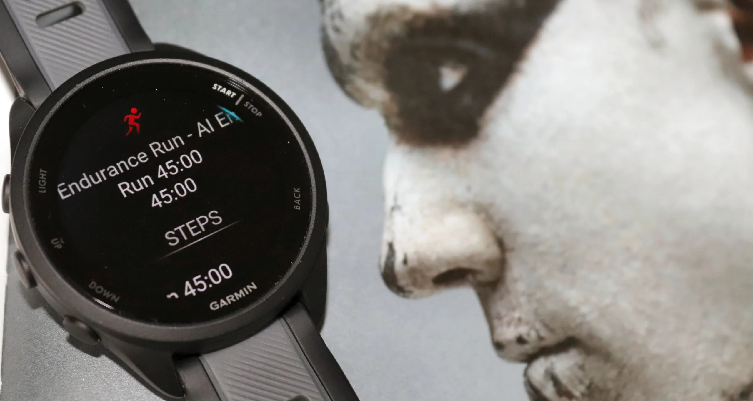 Garmin Race Predictor - Still Wrong