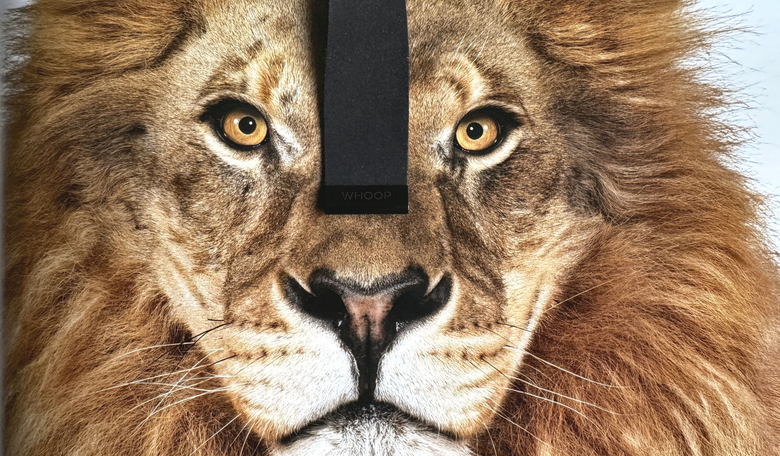 Whoop vs. Garmin: Both Target Muscle Oxygen Sensors. Here Is What It Means.