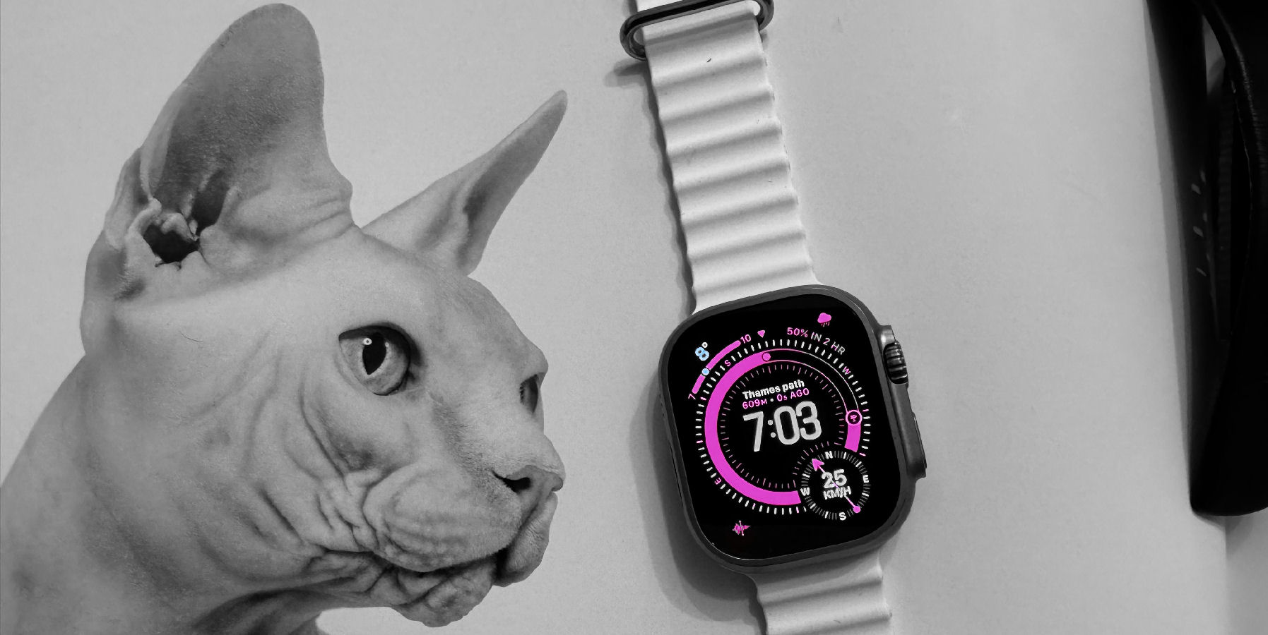 Best Apple Watch 2026: Series 11, Ultra 3 or SE 3?